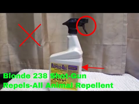 How To Repel Raccoons But Not Cats and Dogs {This Will Surprise You}