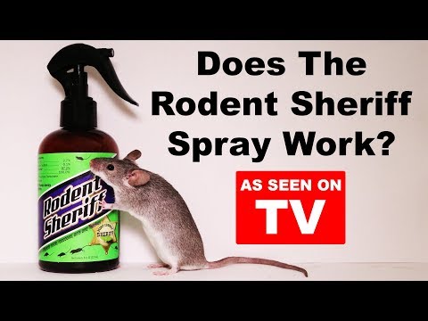 How To Repel Raccoons But Not Cats and Dogs {This Will Surprise You}