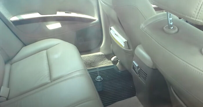 How to Get Rid of Fleas in Car {Quick and Easy Method}