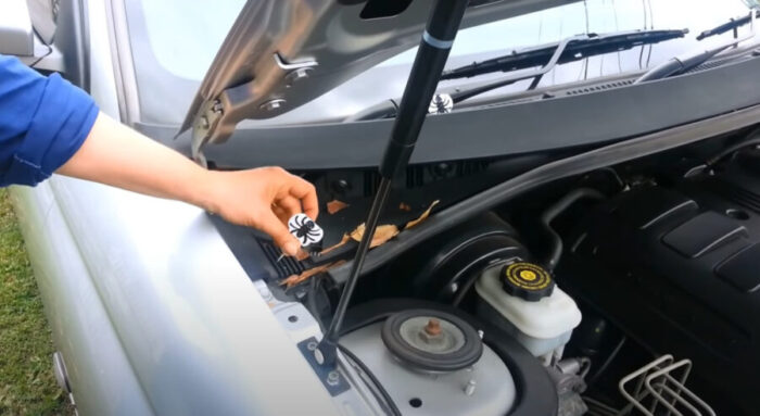 How To Get Rid of Spiders In Car {And Keep Them Out}