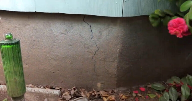 Can Gophers Damage Building Foundations? {How Much Damage}