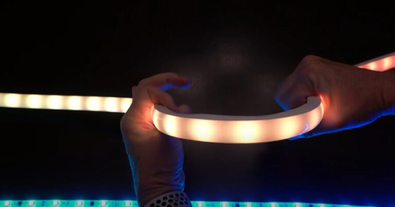 Are Silverfish Attracted to LED Lights {All You Need To Know Here}