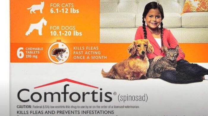 Do Fleas Have to Bite for Comfortis to Work? {Is it Better Than Capstar?}