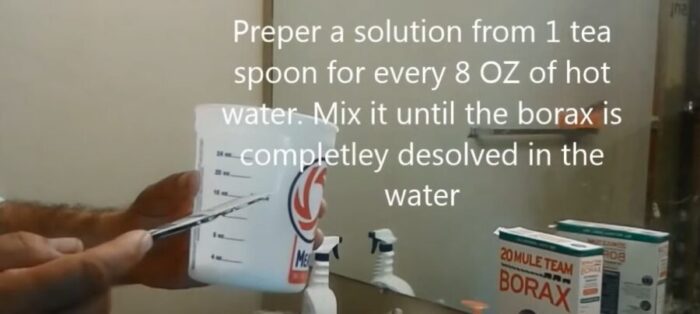 Does Boric Acid Kill Termites? {How Does It Work?}