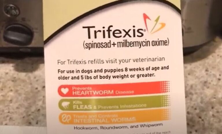 Does Trifexis Kill Ticks? {Best Tick Prevention Products}