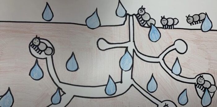 What Ants Do on Rainy Days {Watch Out!}
