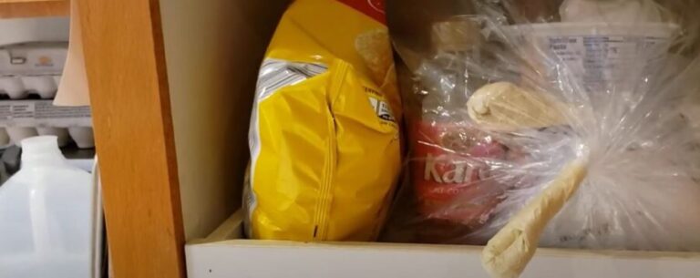 What Needs to Be Removed When Tenting for Termites? {A Full Guide}