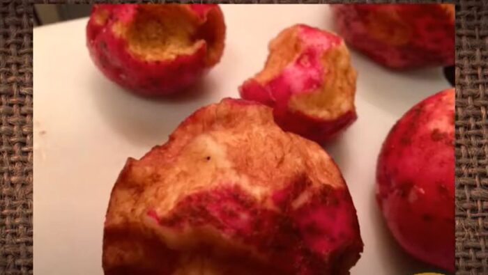 Do Mice Eat Potatoes? {Do Instant Potatoes Kill Mice?}