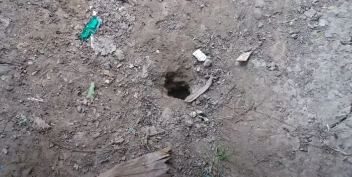 How to Get Rid of Rat Burrows {Why You Shouldn't Flush A Burrow}