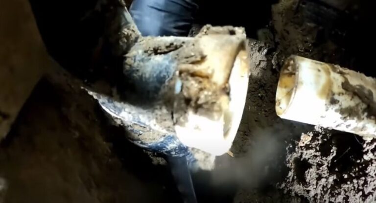 Do Rats Burrow Under Foundations? {How You Can Tell}