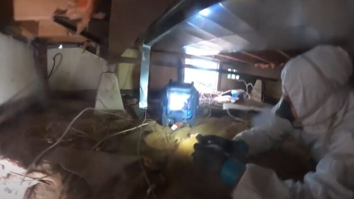 Do Rats Burrow Under Foundations? {How You Can Tell}