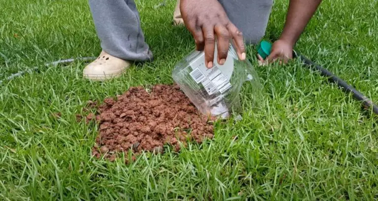 How to Fill Ground Squirrel Holes {The Best Ways Explained}